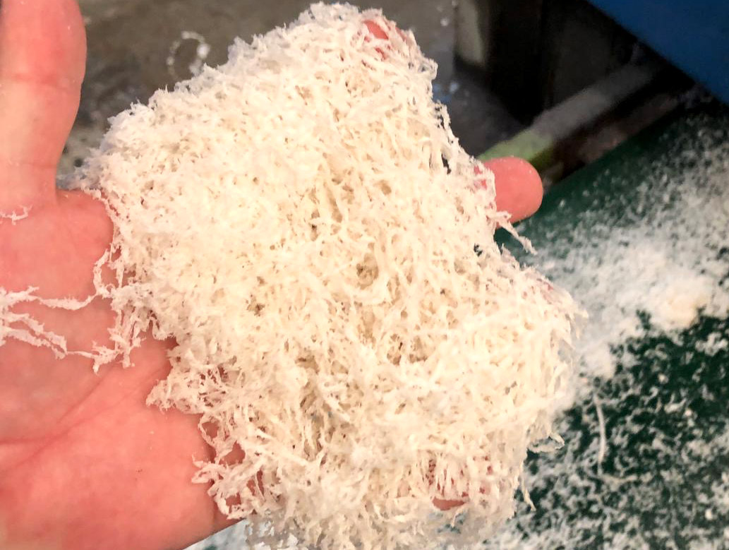 Zeology and waste stream - Nera Tanning