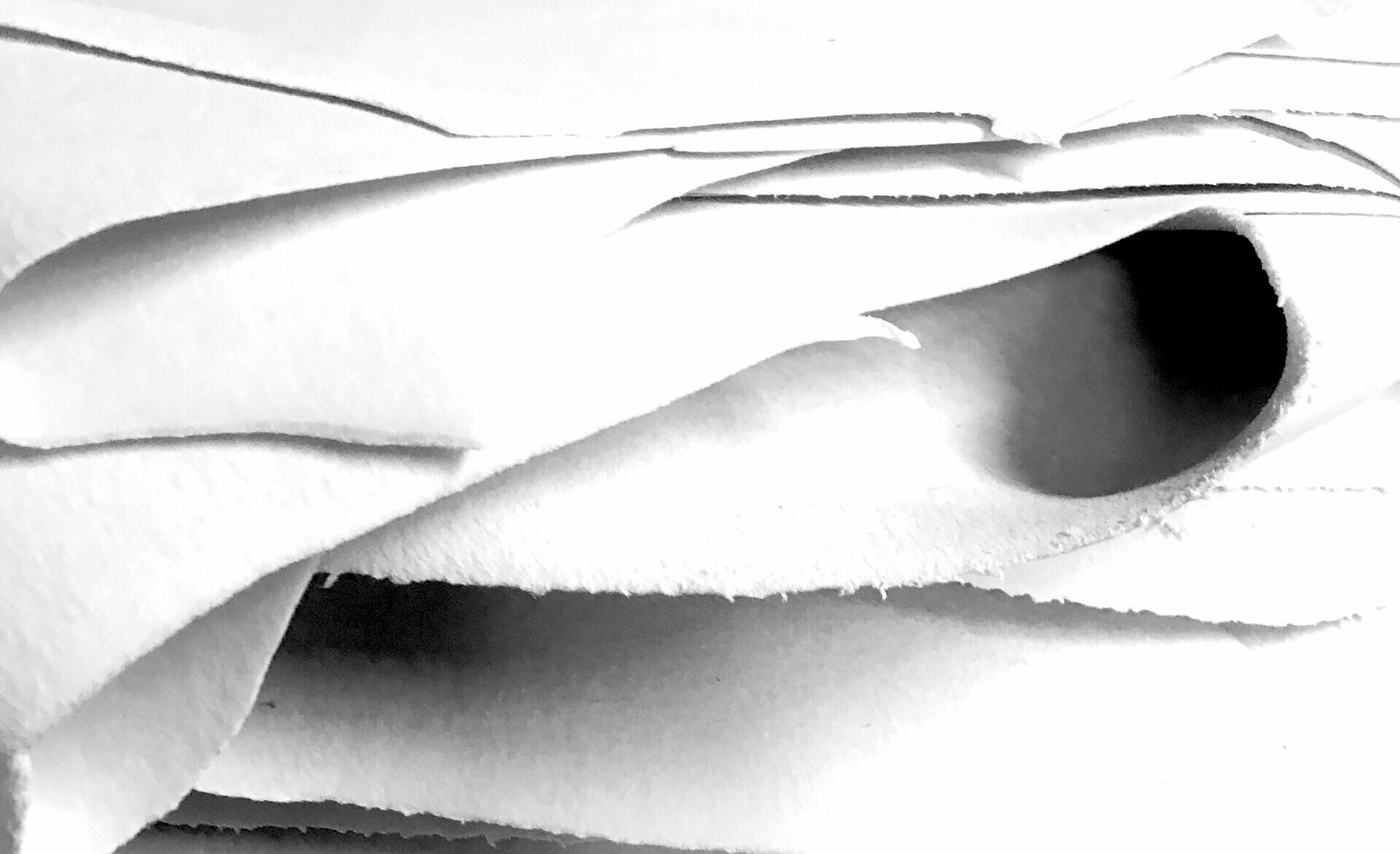 Zeology, a perfect fit for white leather - Nera Tanning