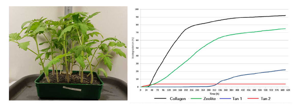 Biodegradability of Zeo White - Nera Tanning