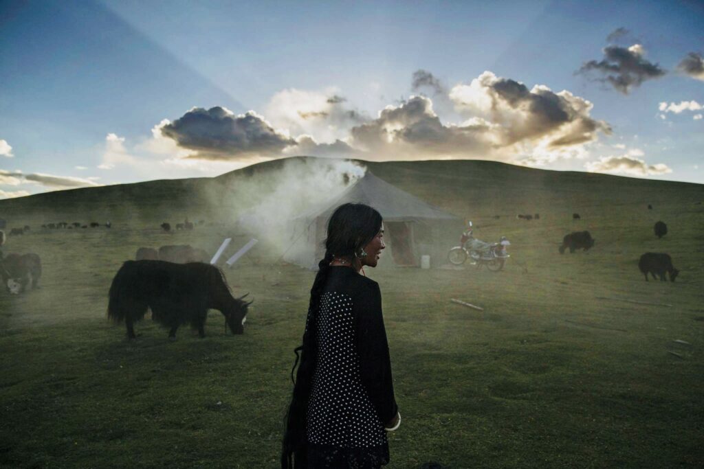 Responsible Yak Tanning with Zeology in the Tibet Autonomous Region ...